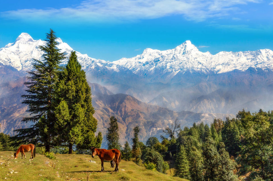 Delightful Uttarakhand Tour (8 D / 7 N) - East West